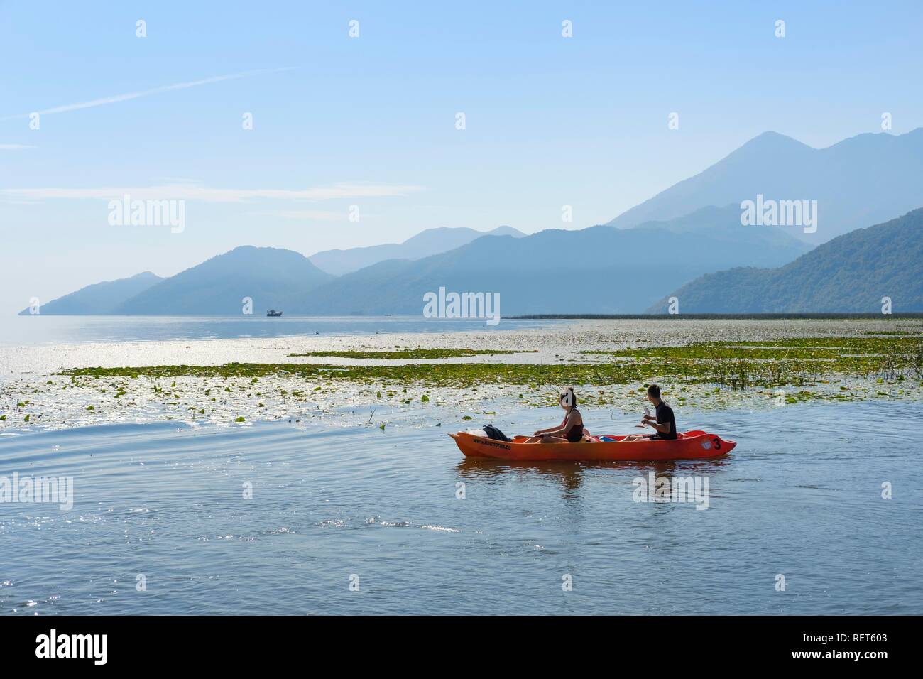 Canoe on Lake Skadar, National Park Lake Skadar, Bar Province ...