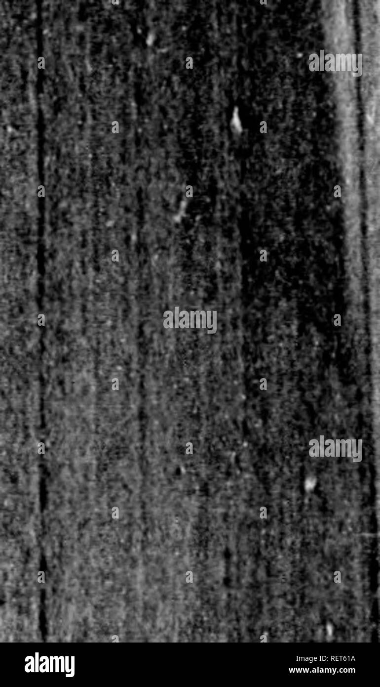 John distin hi-res stock photography and images - Alamy