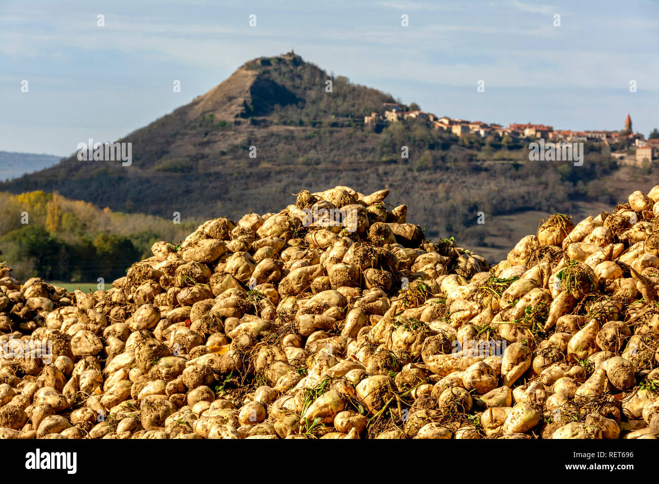 Beet pile hi-res stock photography and images - Alamy