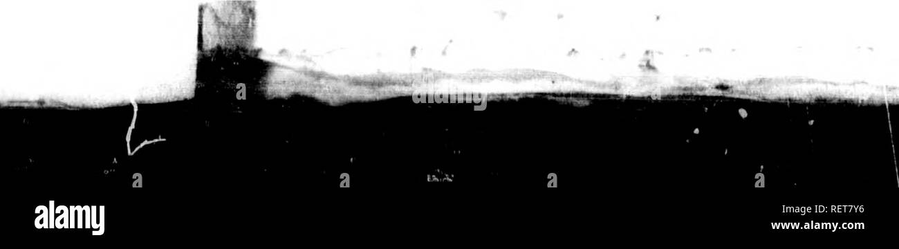 7 doigts hi-res stock photography and images - Alamy