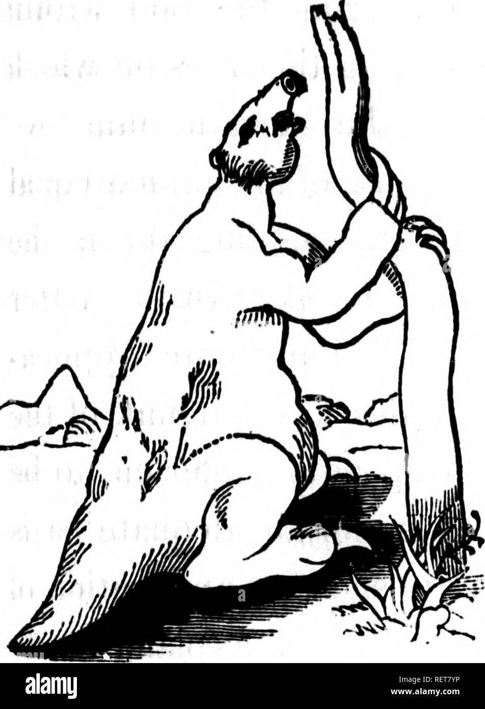 Canadian creatures Black and White Stock Photos & Images - Alamy