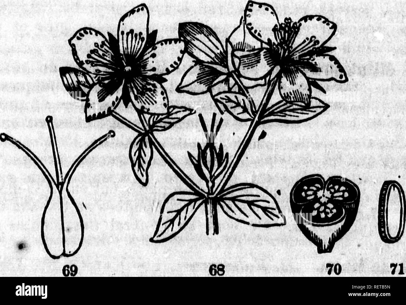 Jardins du calice hi-res stock photography and images - Alamy