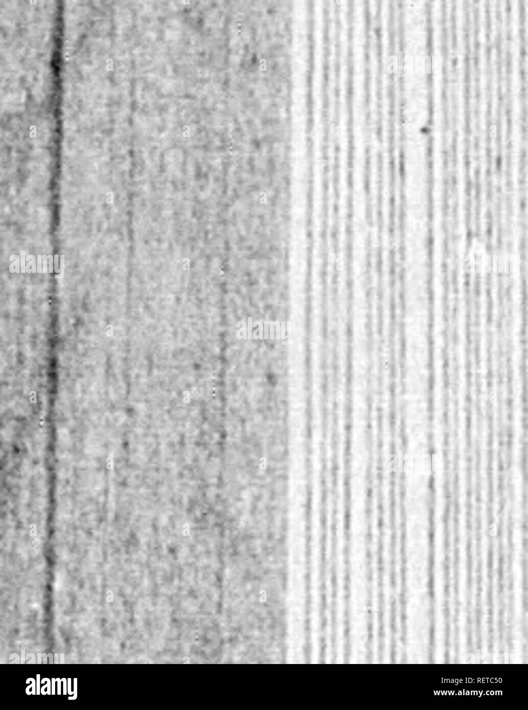 Jameson boyd hi-res stock photography and images - Alamy