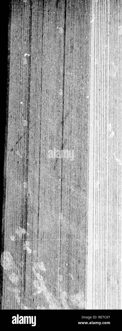 Jameson boyd hi-res stock photography and images - Alamy