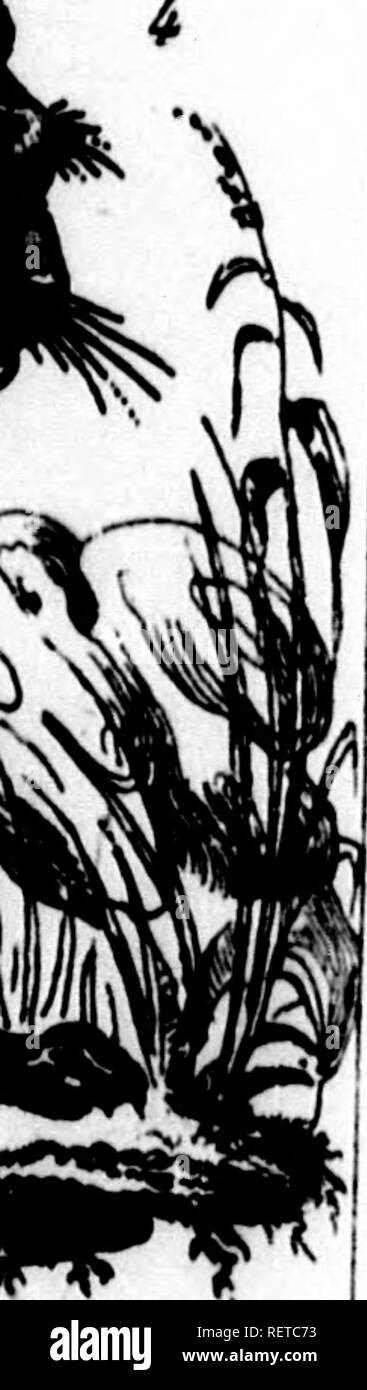 Zil 127 hi-res stock photography and images - Alamy