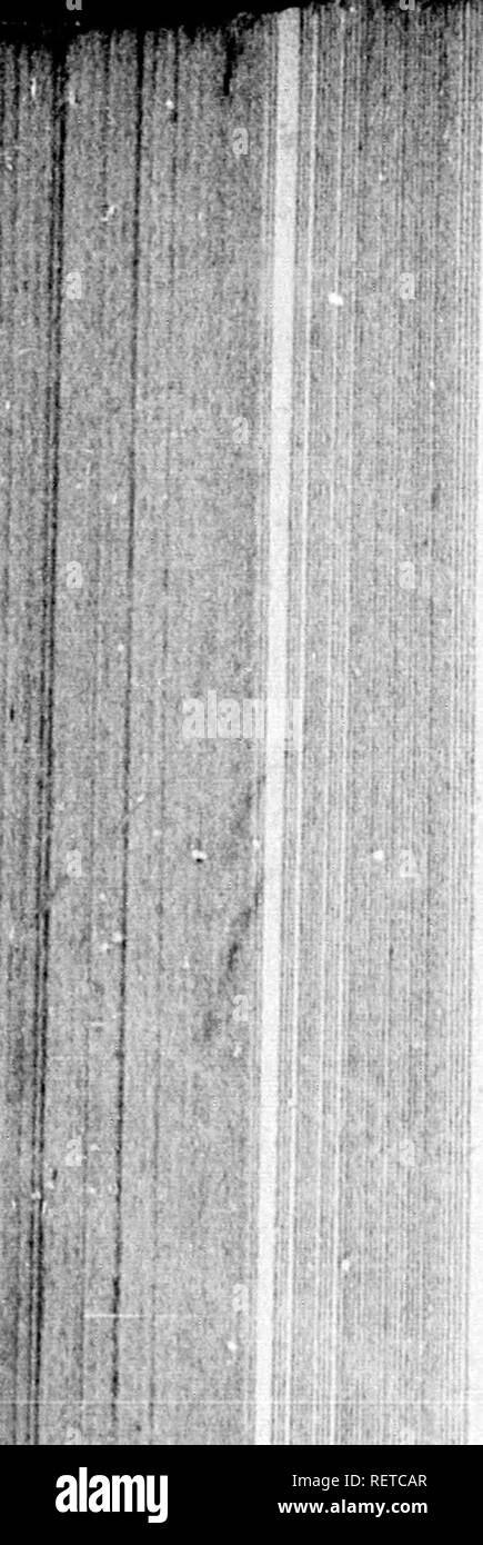 Jameson boyd hi-res stock photography and images - Alamy