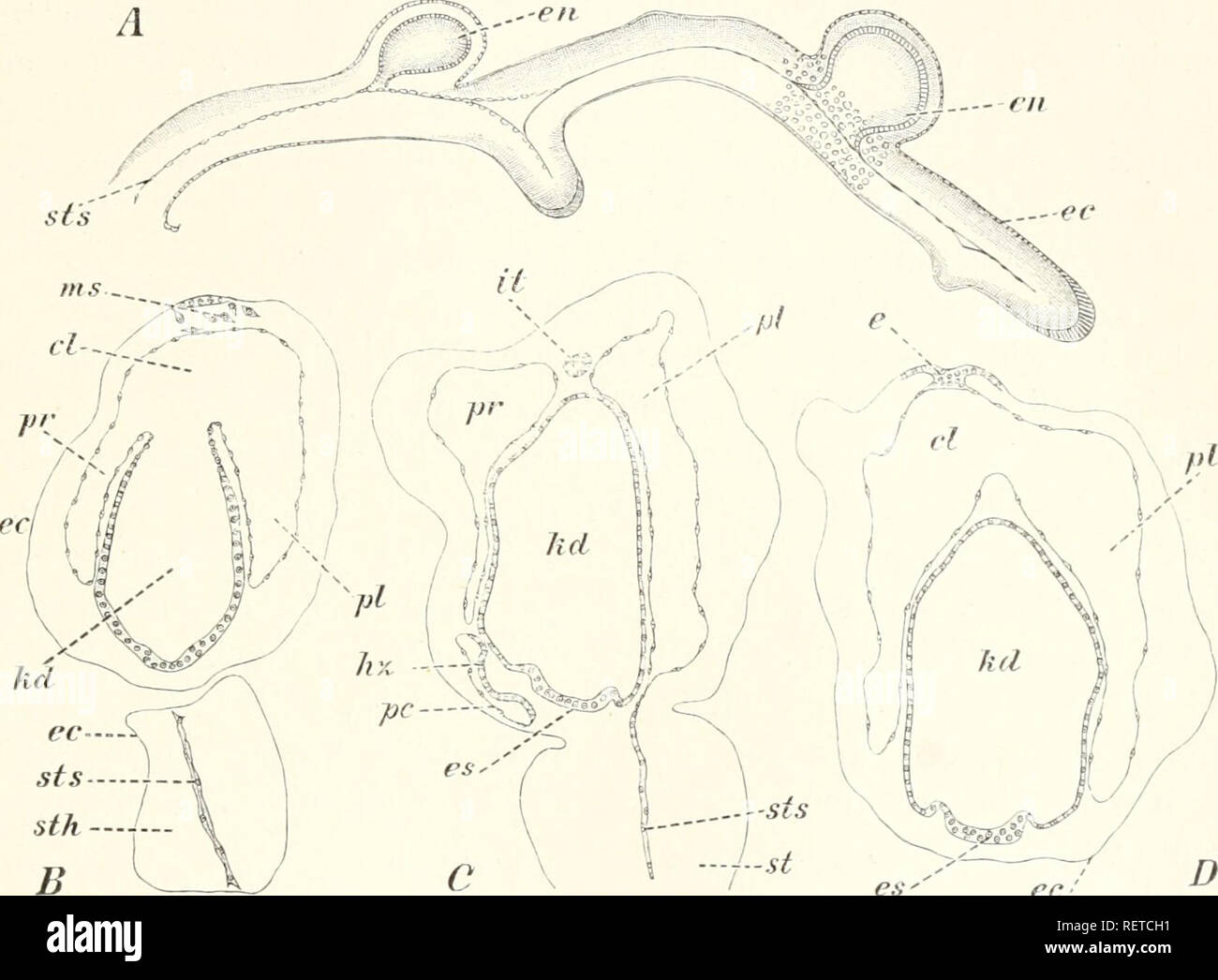 Stolos hi-res stock photography and images - Alamy