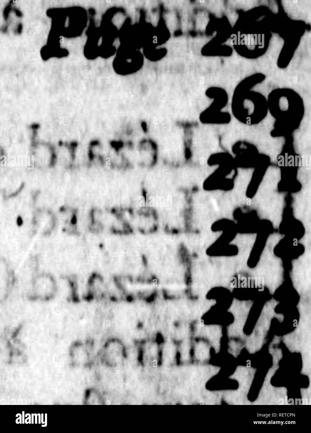 Snakes of java hi-res stock photography and images - Alamy