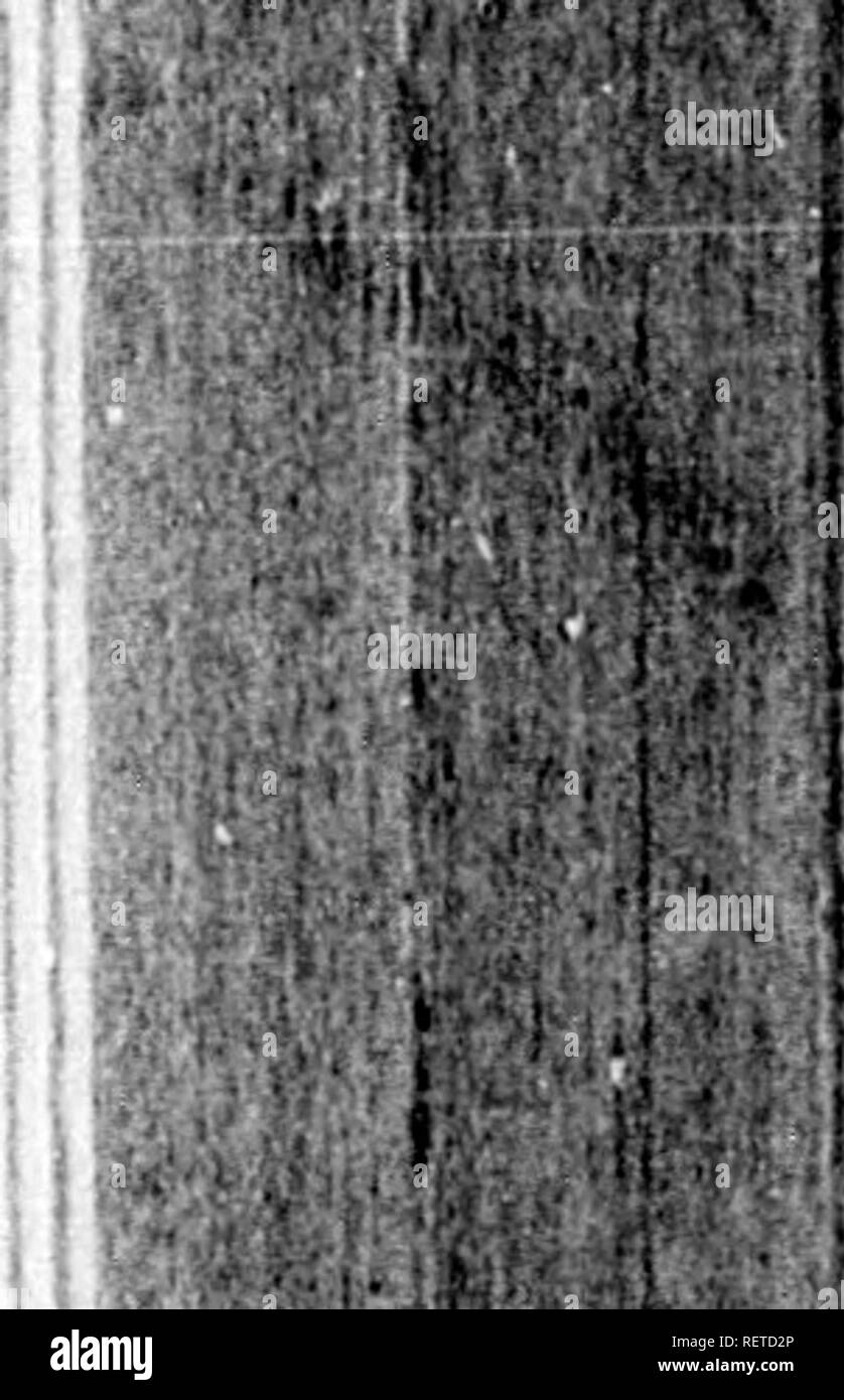 Jameson boyd hi-res stock photography and images - Alamy