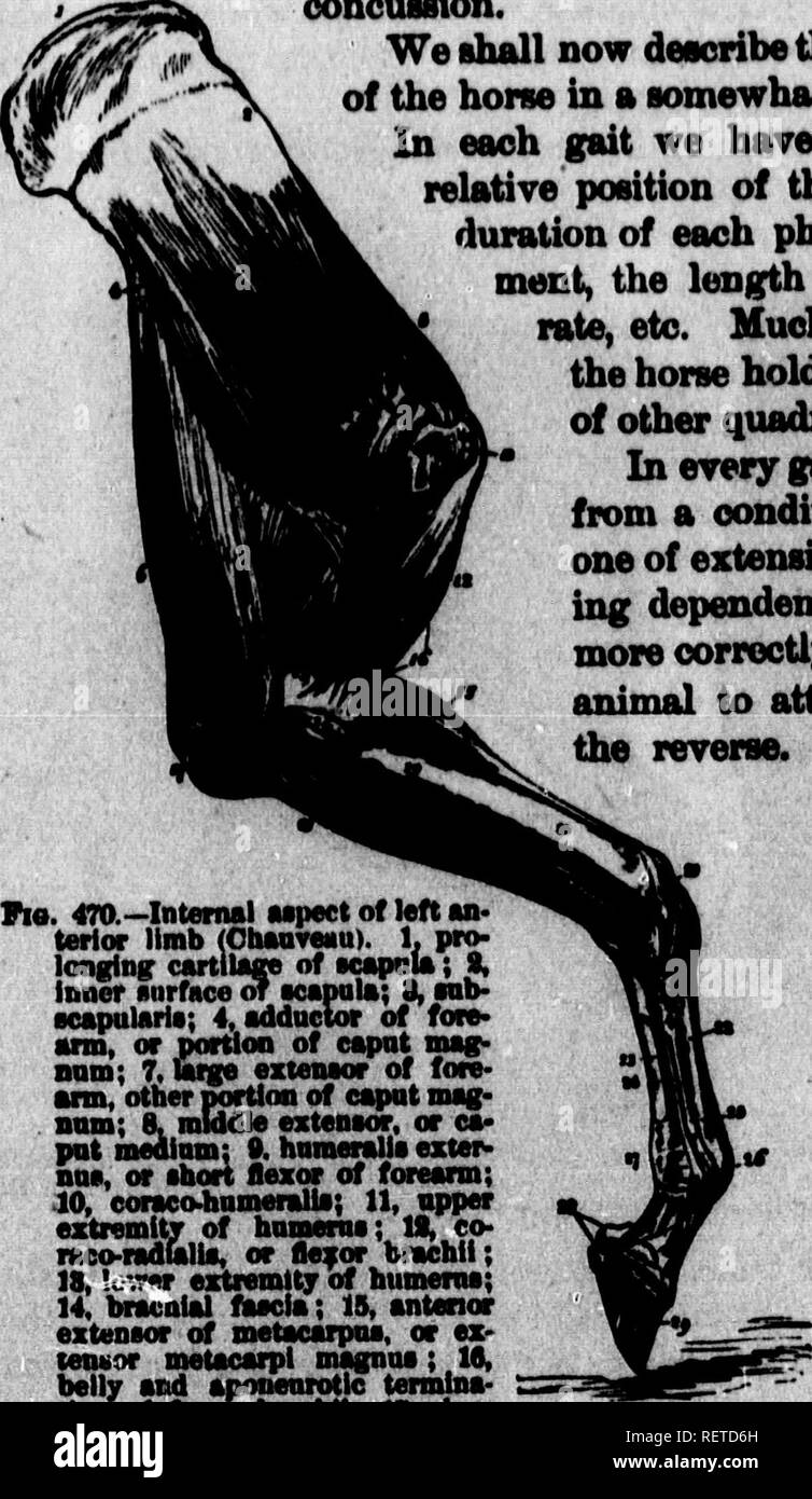 Jointa hi-res stock photography and images - Alamy