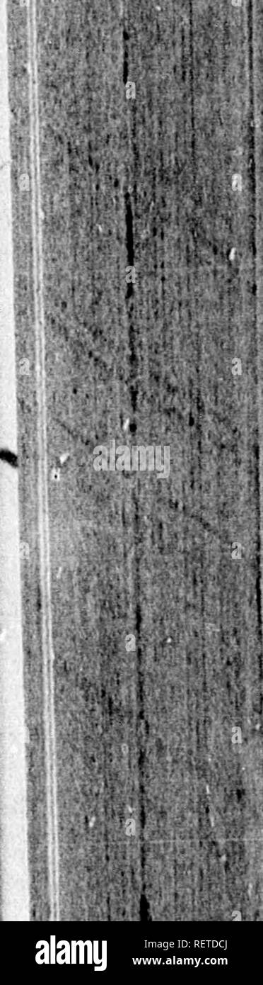 Jameson boyd hi-res stock photography and images - Alamy