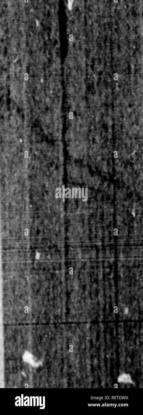 Jameson boyd hi-res stock photography and images - Alamy