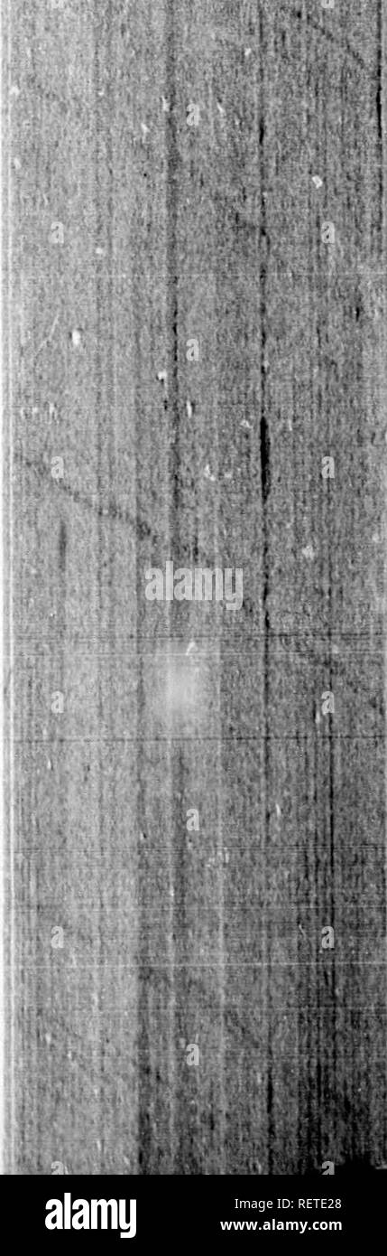 Jameson boyd hi-res stock photography and images - Alamy