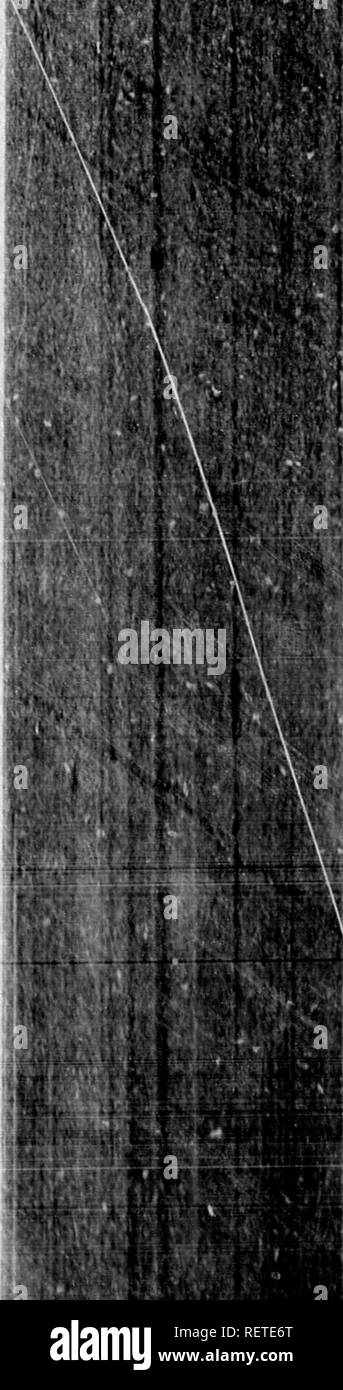 Jameson boyd hi-res stock photography and images - Alamy