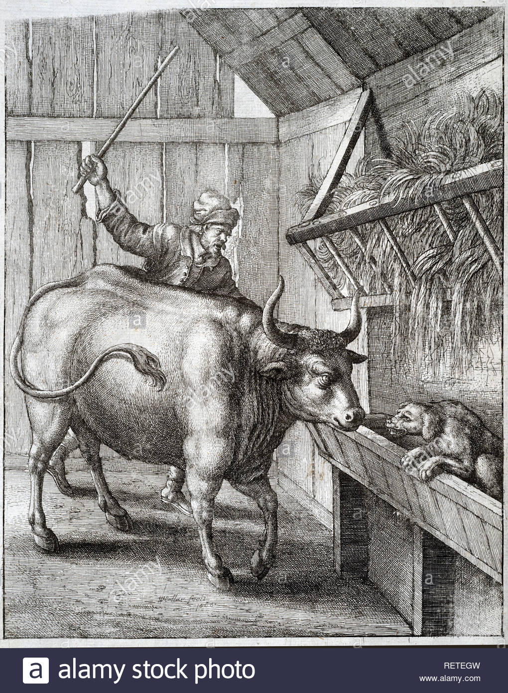 The Dog in the Manger, one of Aesop's Fables, etching by Bohemian ...