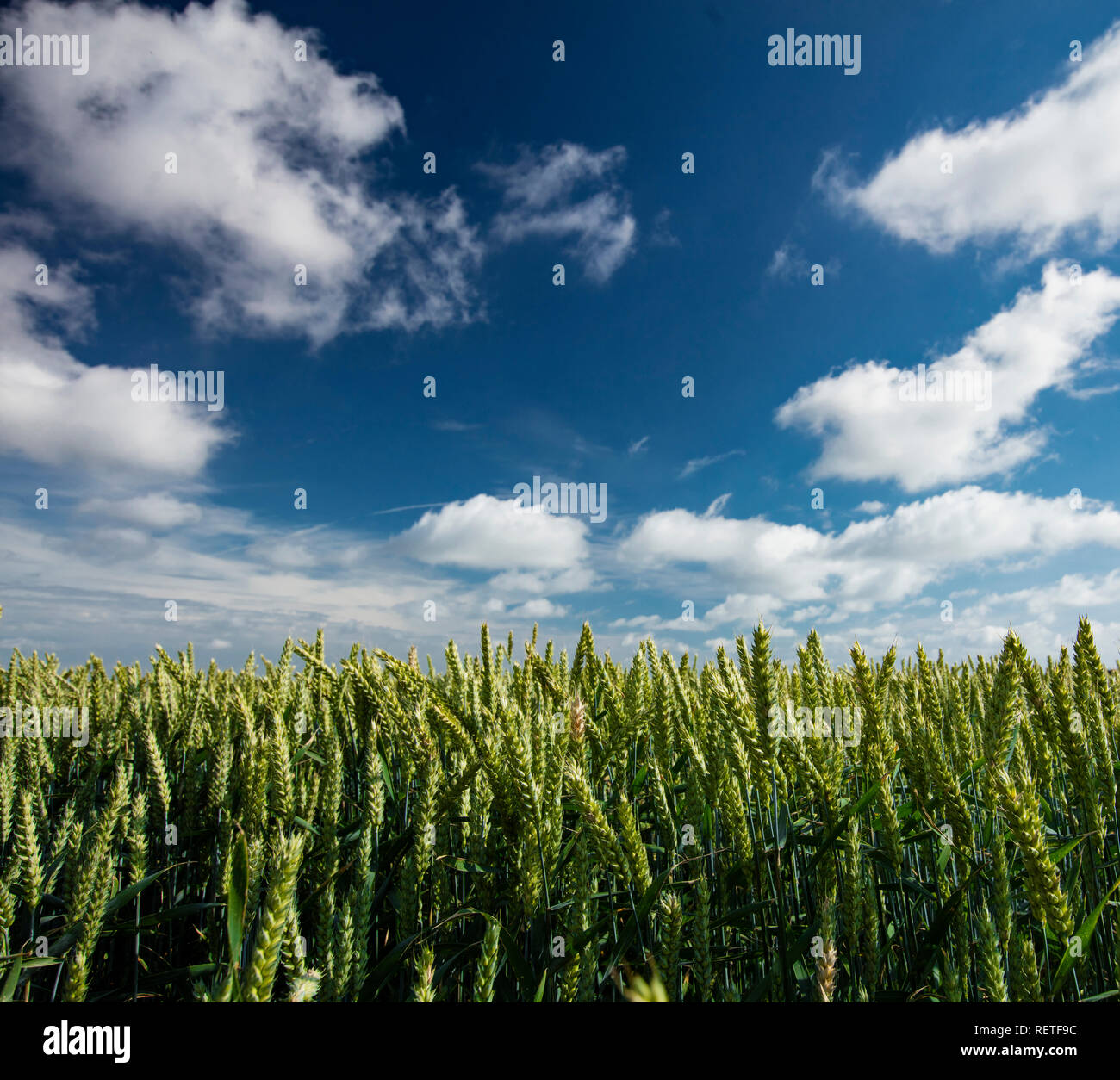 Ulceby uk hi-res stock photography and images - Alamy