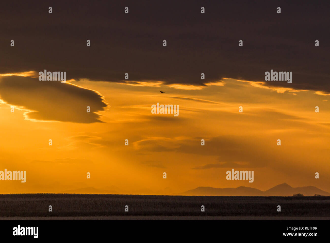 Setting sun peaks through clouds, casting orange glow to spring sky ...