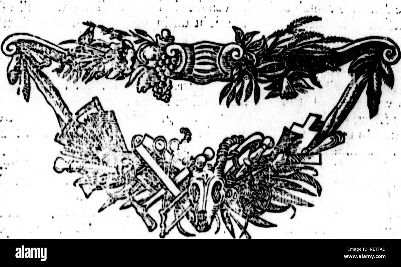 Four Humours High Resolution Stock Photography and Images - Alamy