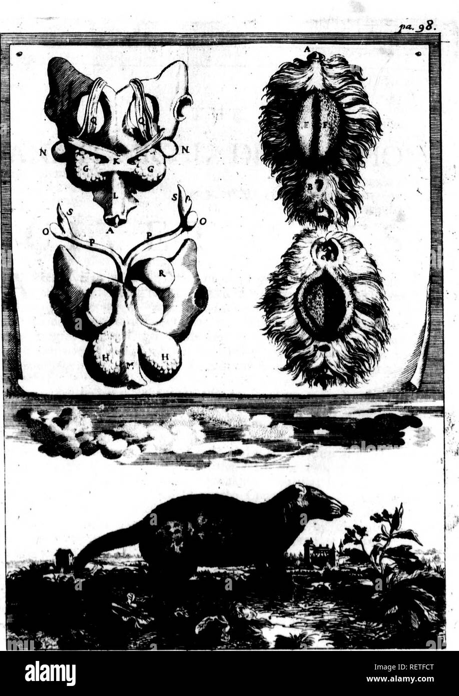 Claude ich hi-res stock photography and images - Alamy