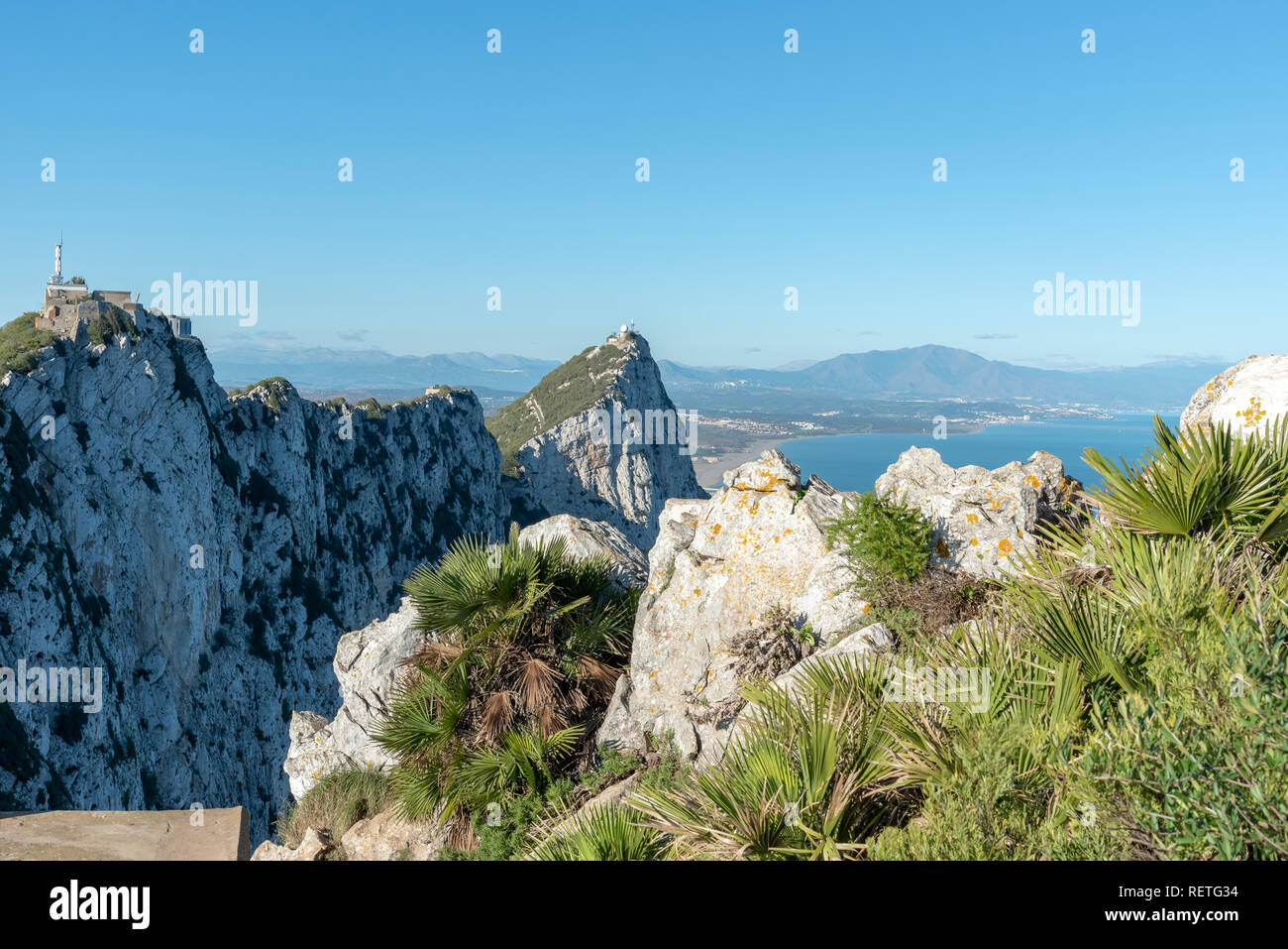 Rocks of Gibraltar with plants Stock Photo - Alamy