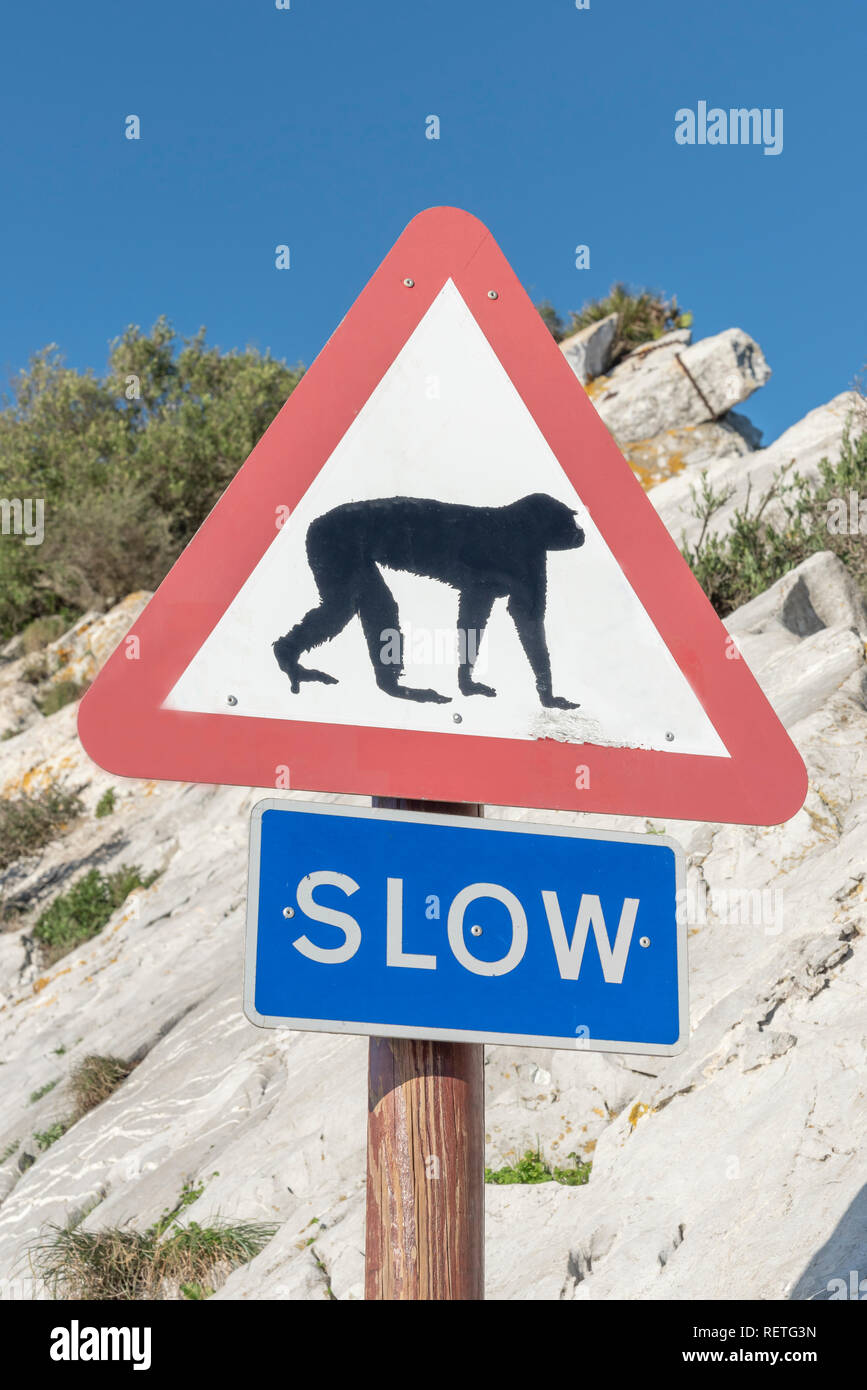 Warning sign monkeys in Gibraltar Stock Photo - Alamy