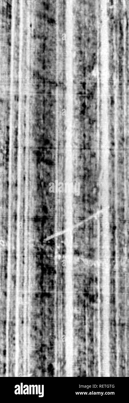 Ir 11 Black and White Stock Photos & Images - Alamy