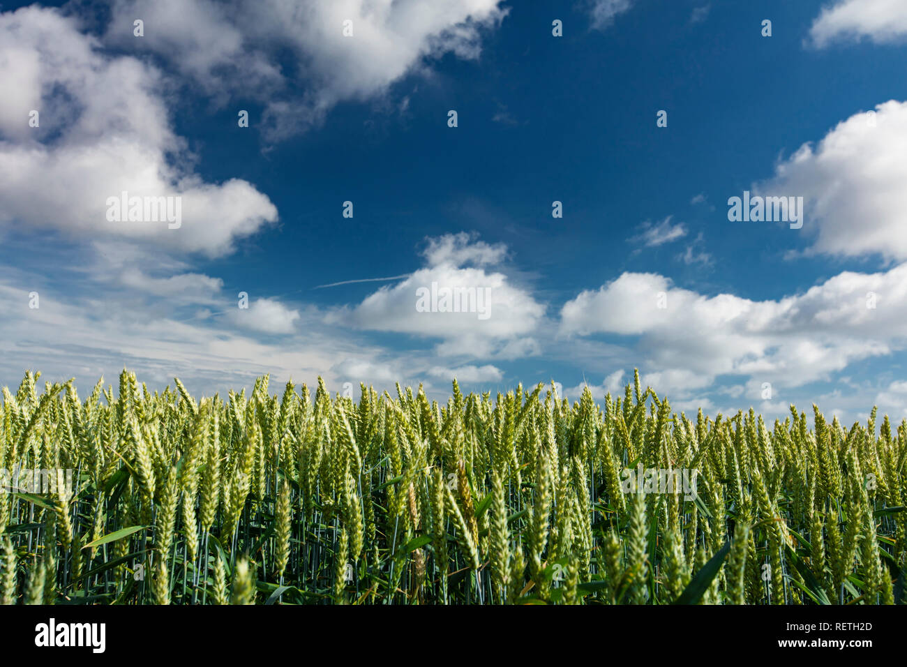 Ulceby uk hi-res stock photography and images - Alamy
