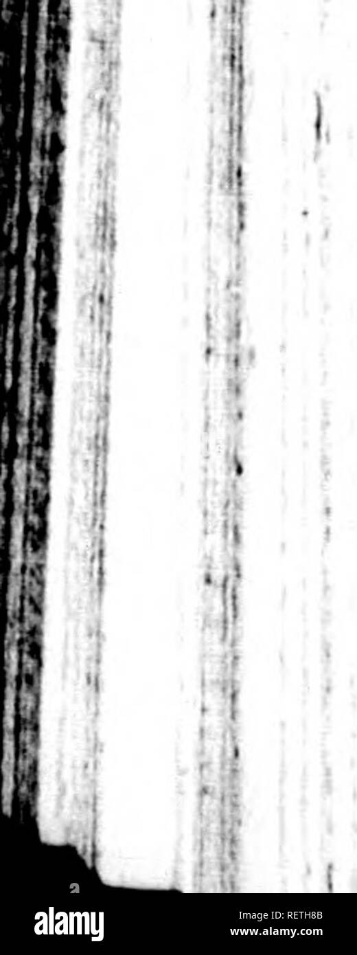 Feuve hi-res stock photography and images - Alamy