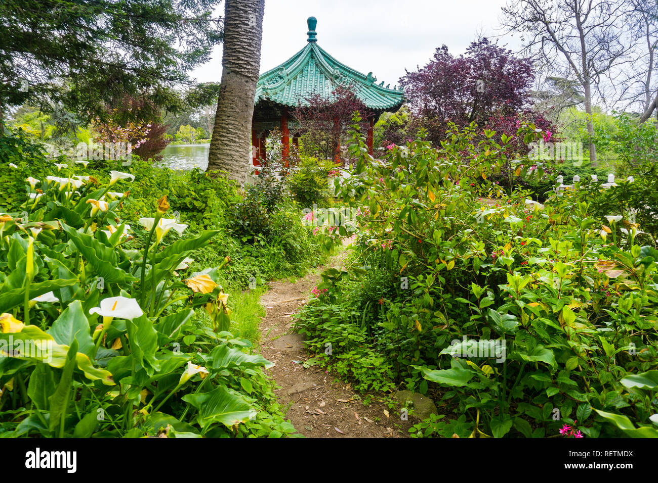 Path in chinese garden hi-res stock photography and images - Alamy