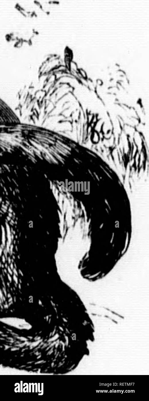 Perambu Black and White Stock Photos & Images - Alamy