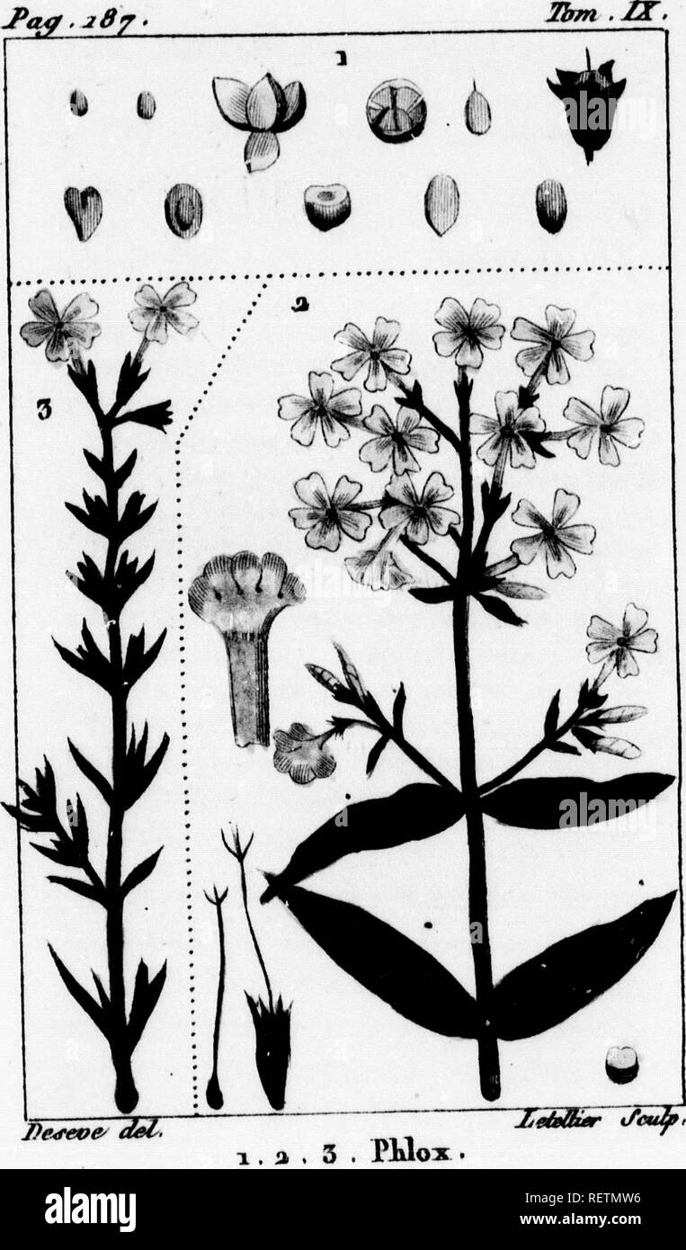 Citation ii Black and White Stock Photos & Images - Alamy