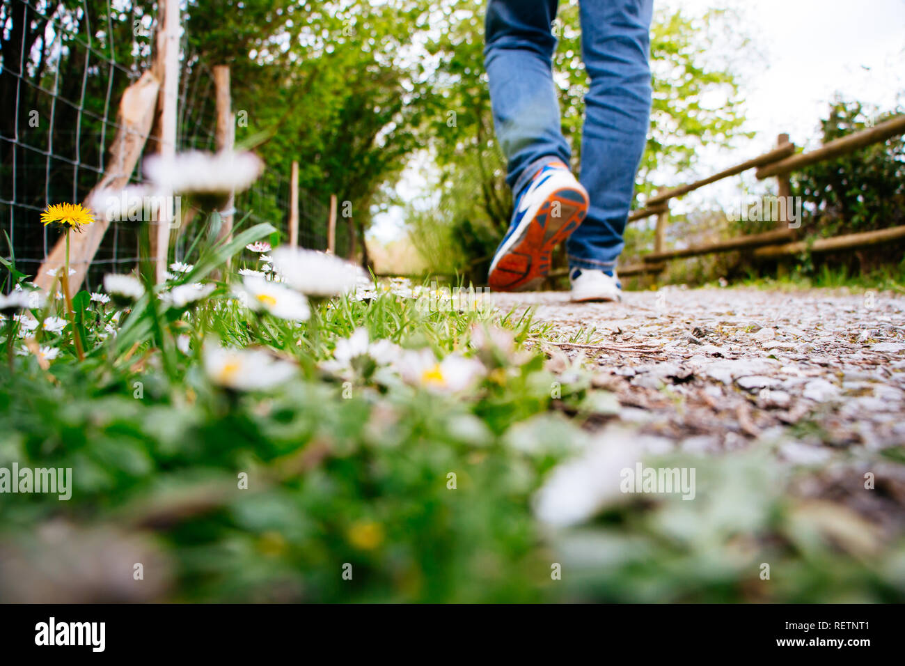Footpath walk track pedestrian fence hi-res stock photography and ...