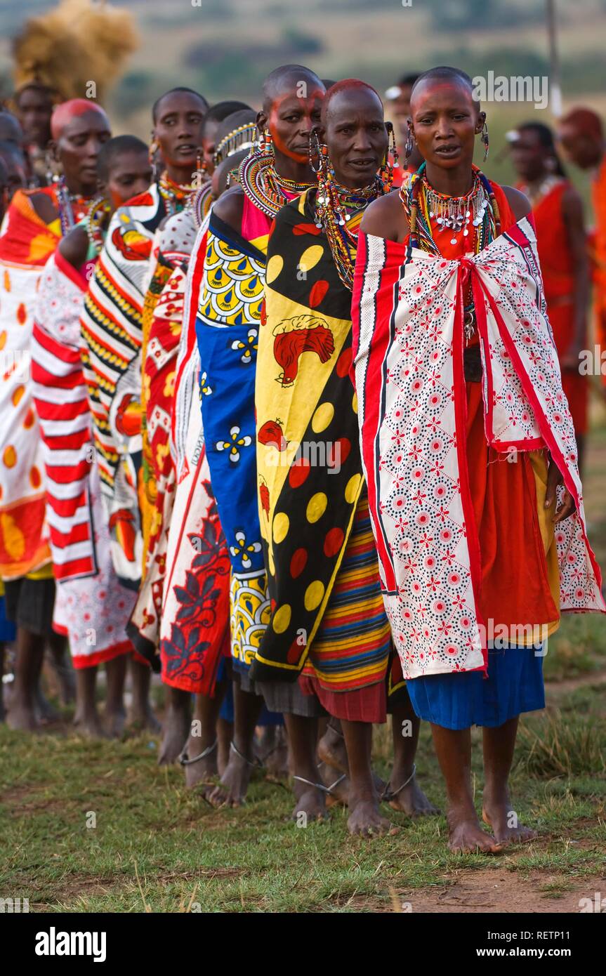 Masai women dancing, Masai Mara, Kenya, East Africa Stock Photo - Alamy