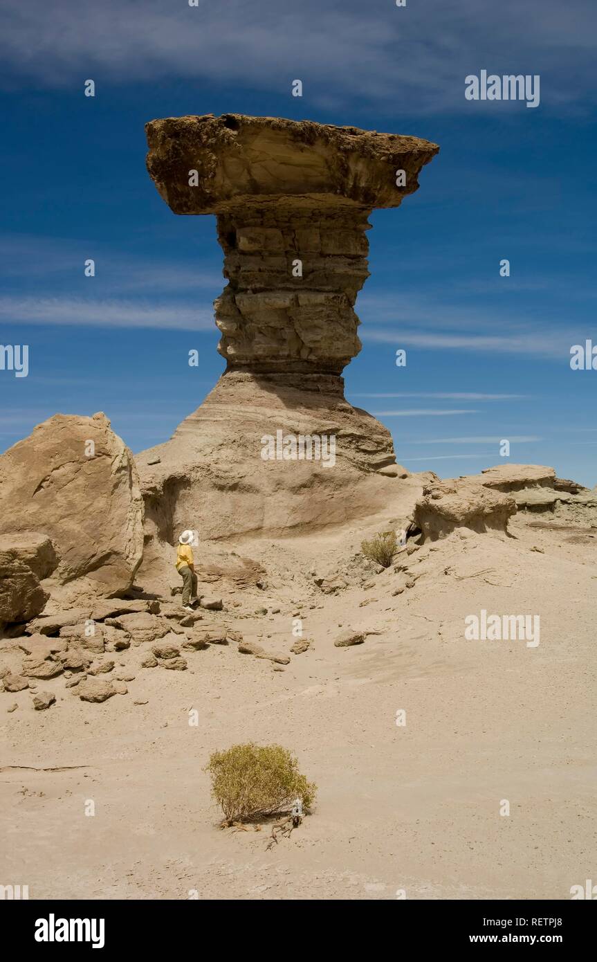 El Hongo, The Mushroom, Ischigualasto, Valle de la Luna, Valley of the ...
