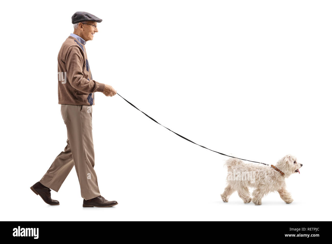 Full length profile shot of a senior walking a dog isolated on white background Stock Photo - Alamy