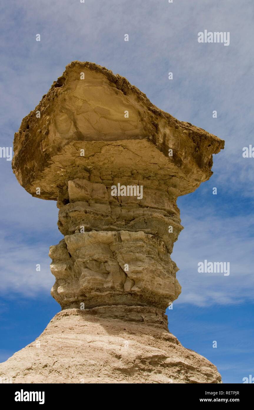 El Hongo, The Mushroom, Ischigualasto, Valle de la Luna, Valley of the ...