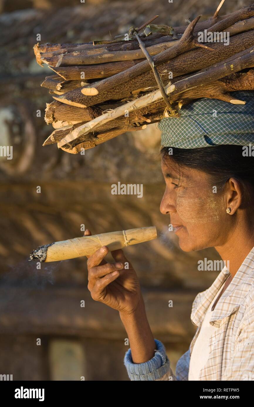 Burmese woman smoking a traditional cigar, cheroot or sheroot, while ...