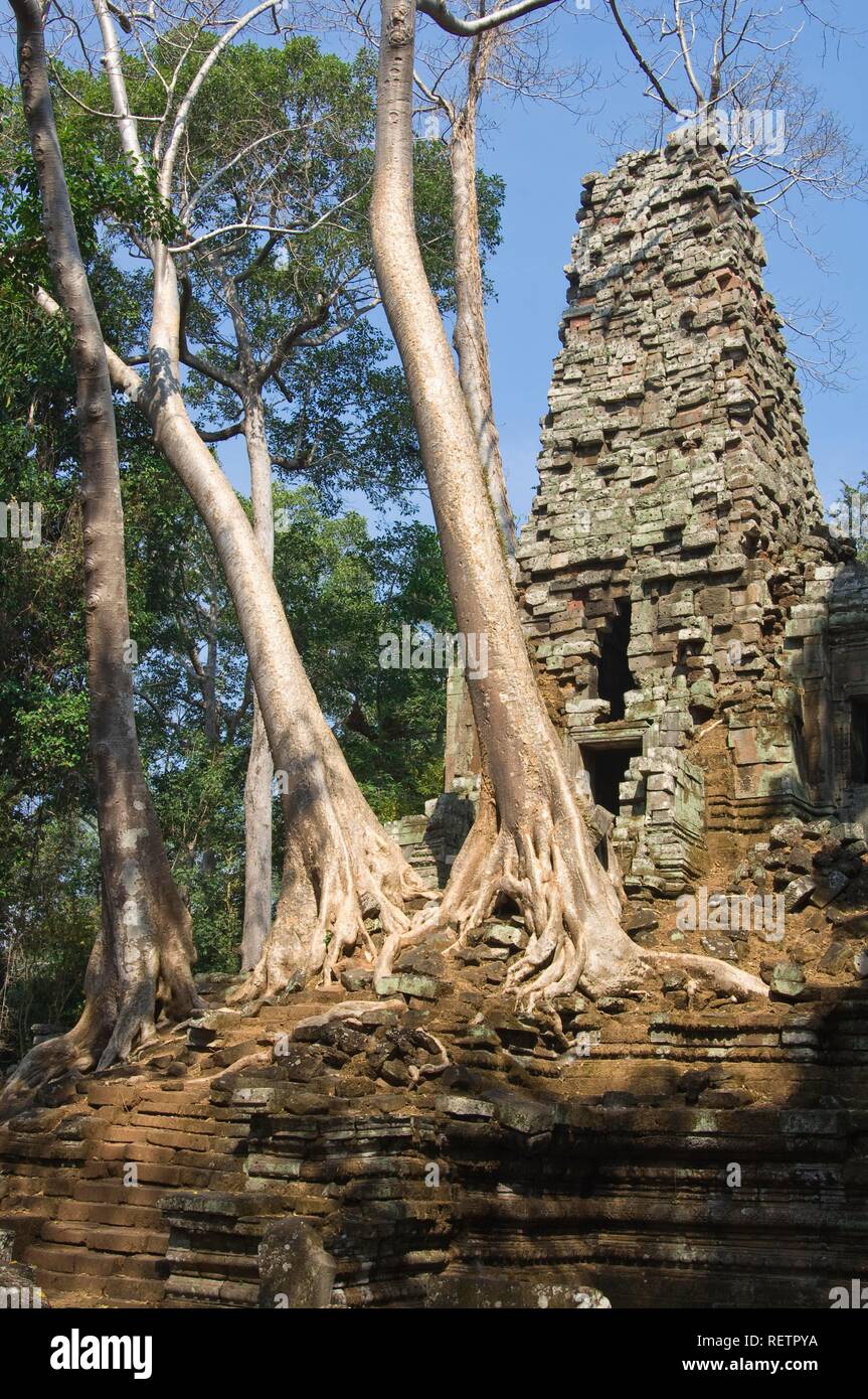 Overgrown temple ruins hi-res stock photography and images - Alamy