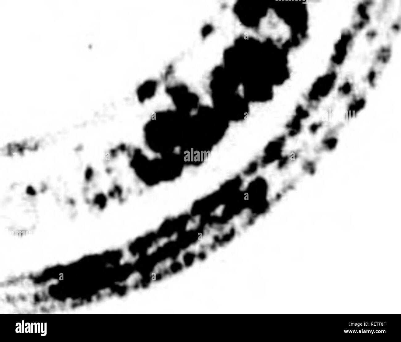 Orifice naturel hi-res stock photography and images - Alamy