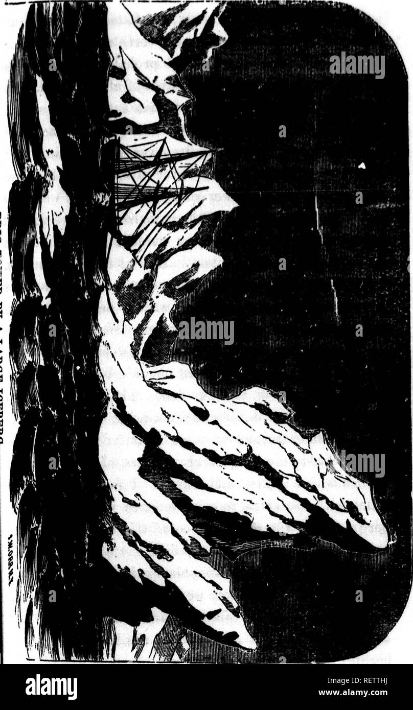 John speed kent hi-res stock photography and images - Alamy