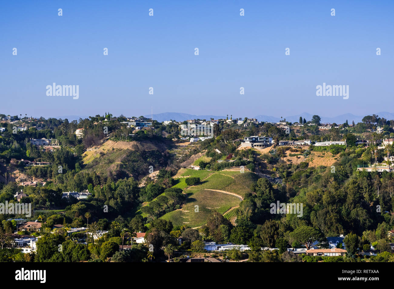 Scattered houses on one of the hills of Bel Air neighborhood, Los ...