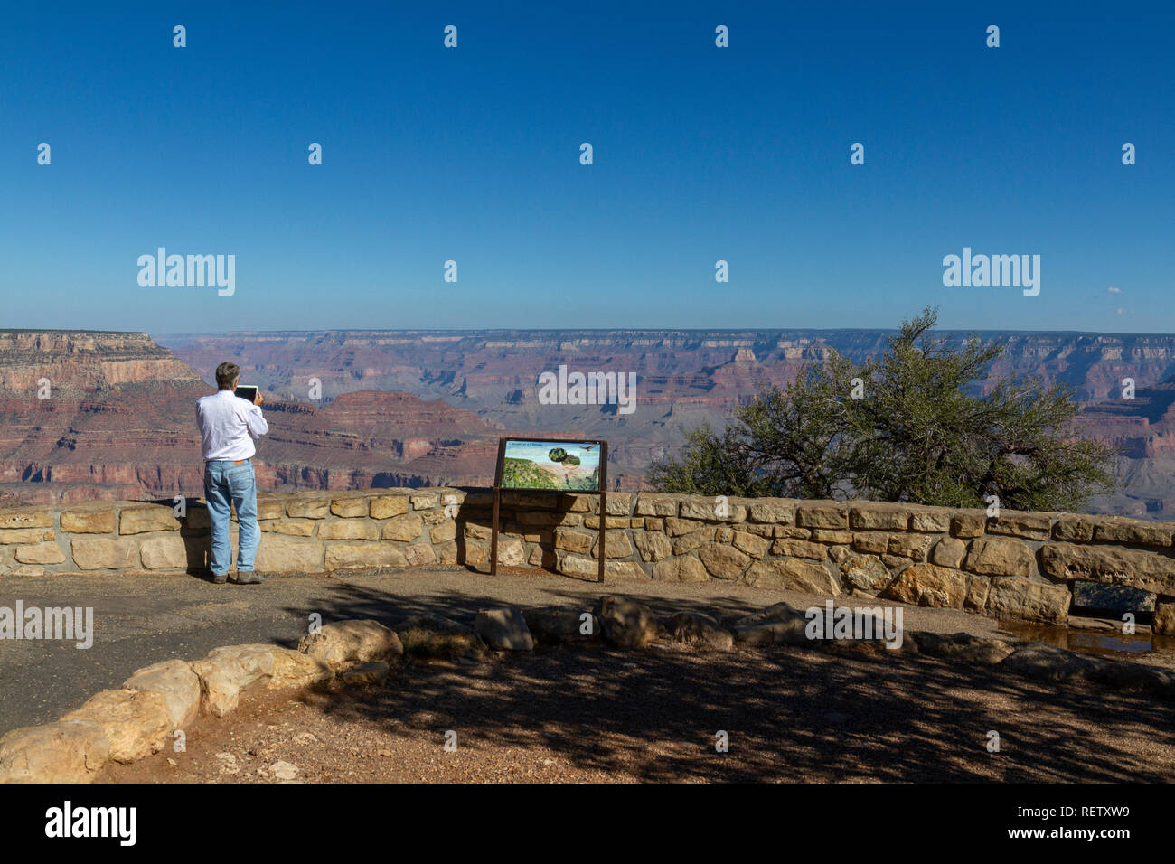 A visitor admiring the view from Grandview Point, South Rim, Grand ...