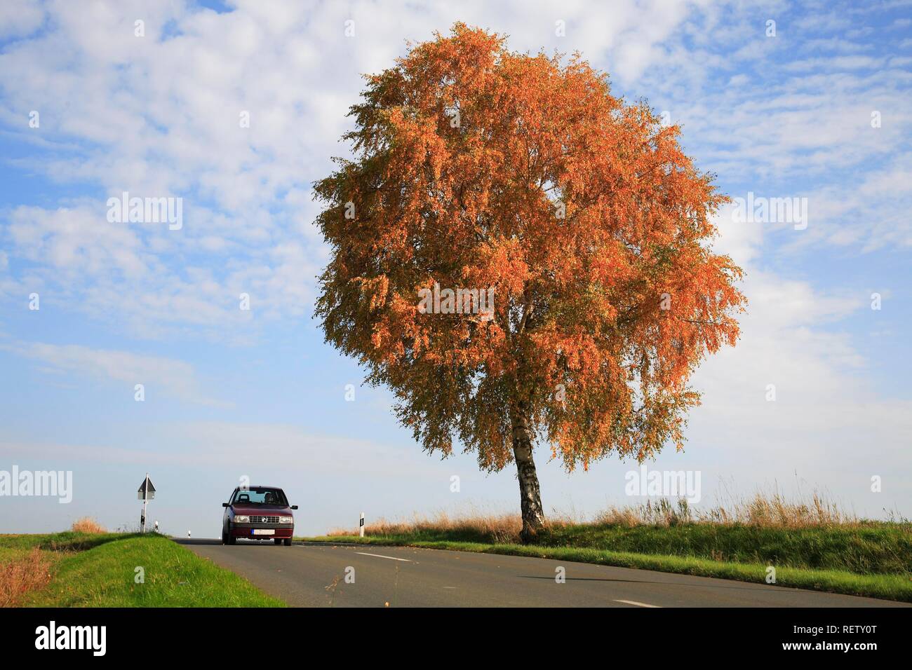 German landscapes hi-res stock photography and images - Alamy
