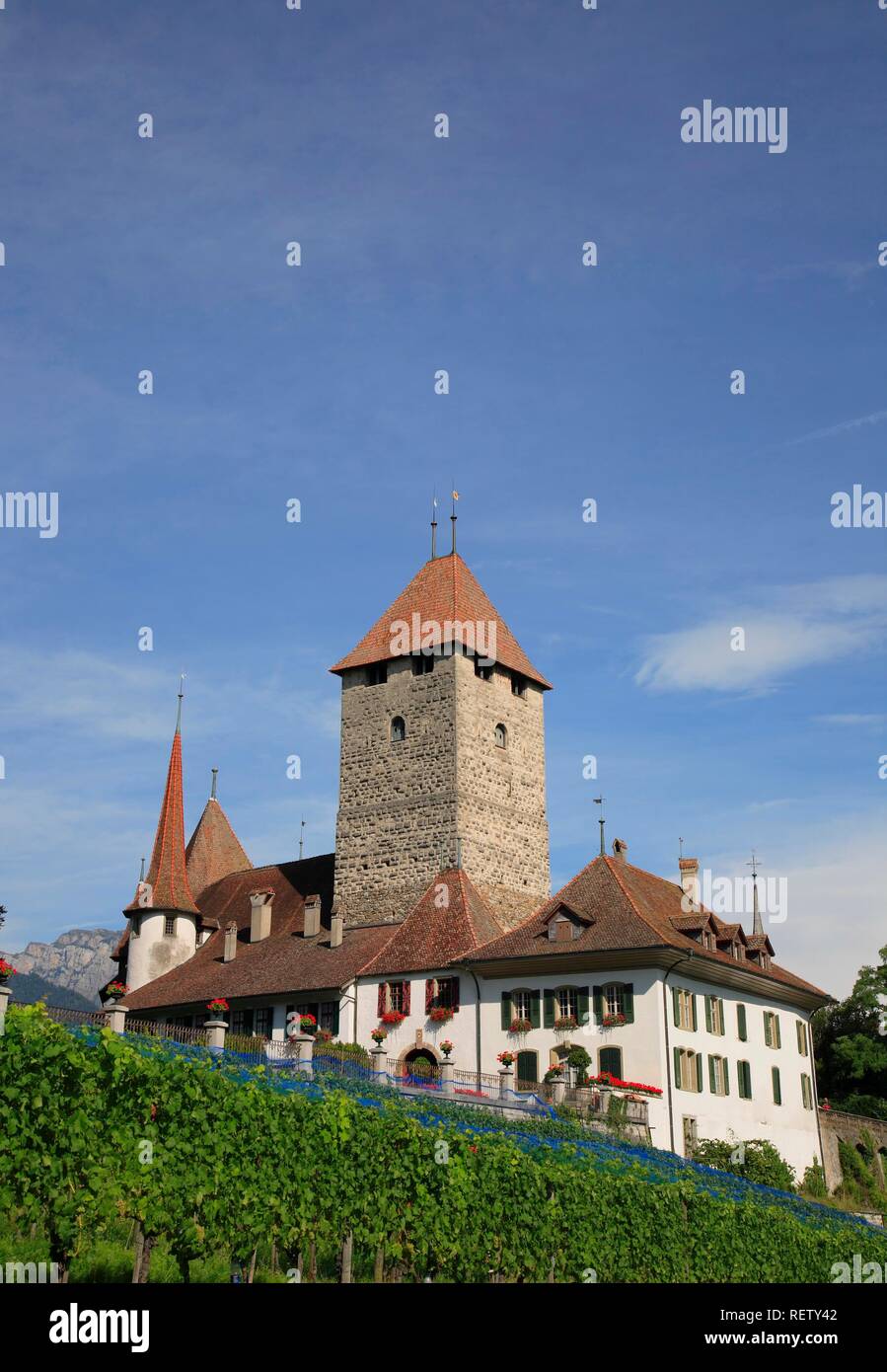 Spiez castle hi-res stock photography and images - Alamy
