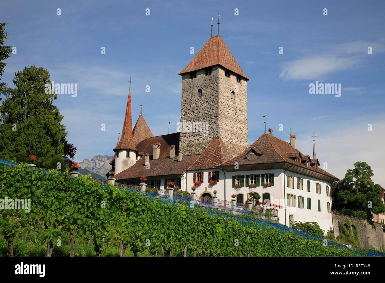 Spiez Castle in Spitz by Lake Thun, Niedersimmental, canton of Berne ...