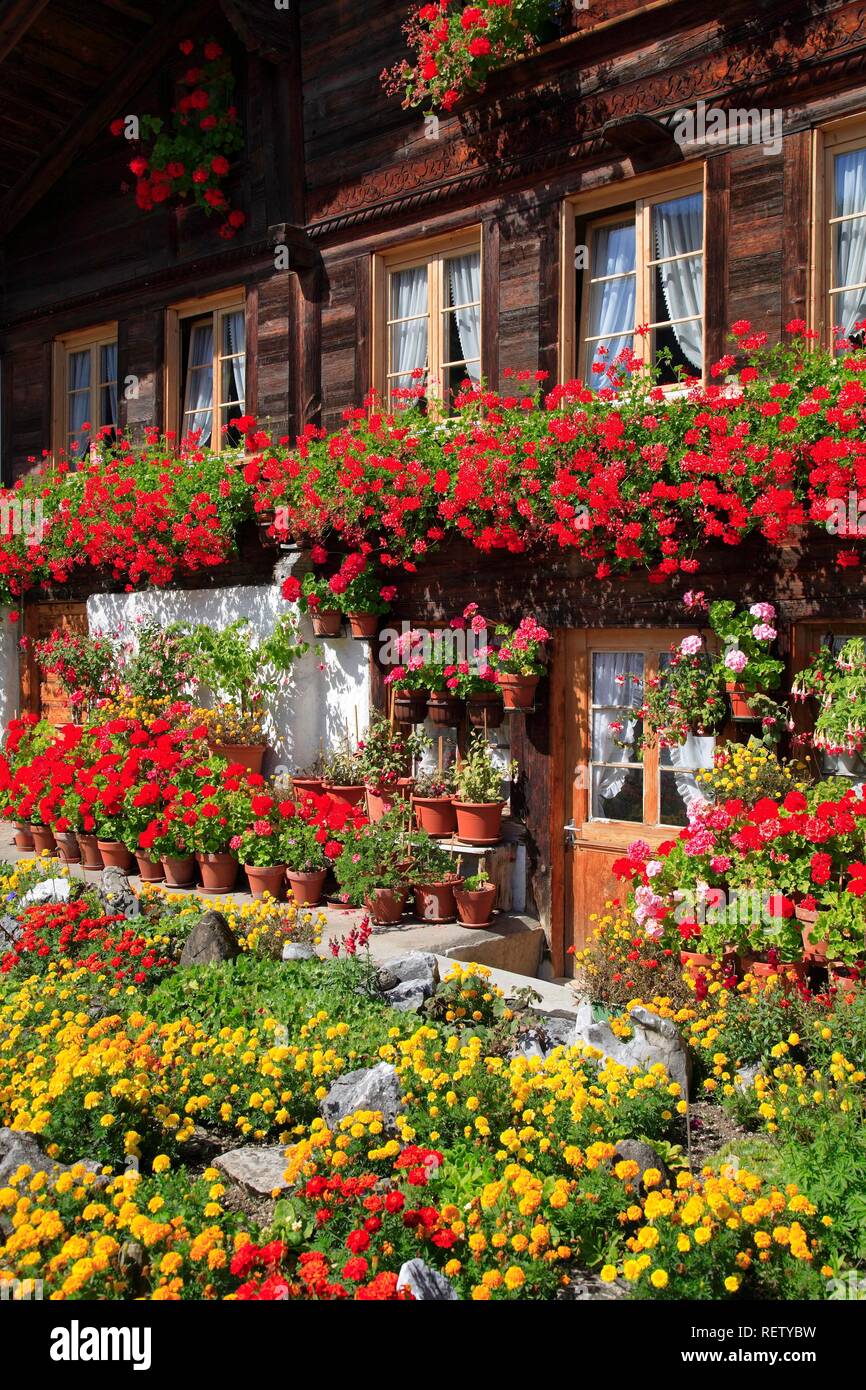 Switzerland simmental valley hi-res stock photography and images - Alamy