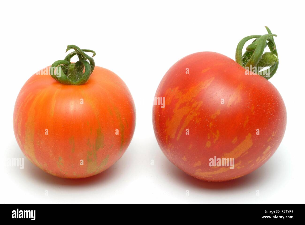 Tigerella tomatoes hi-res stock photography and images - Alamy
