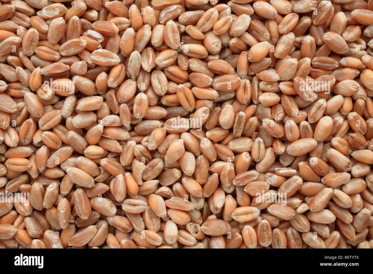 Product with wheat hi-res stock photography and images - Alamy