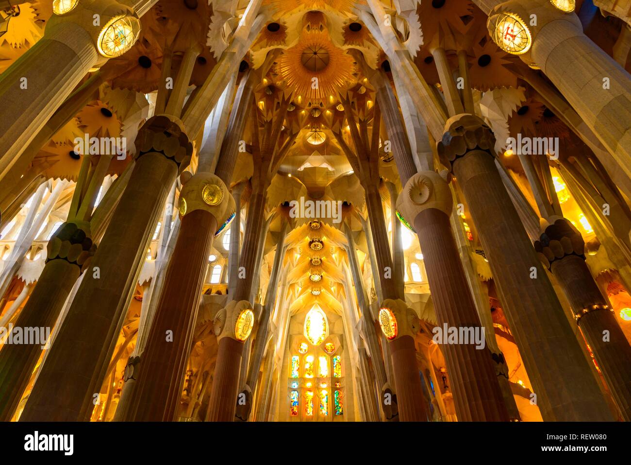 Interior view ceiling vault, Sagrada Familia, Antoni Gaudi, Barcelona ...