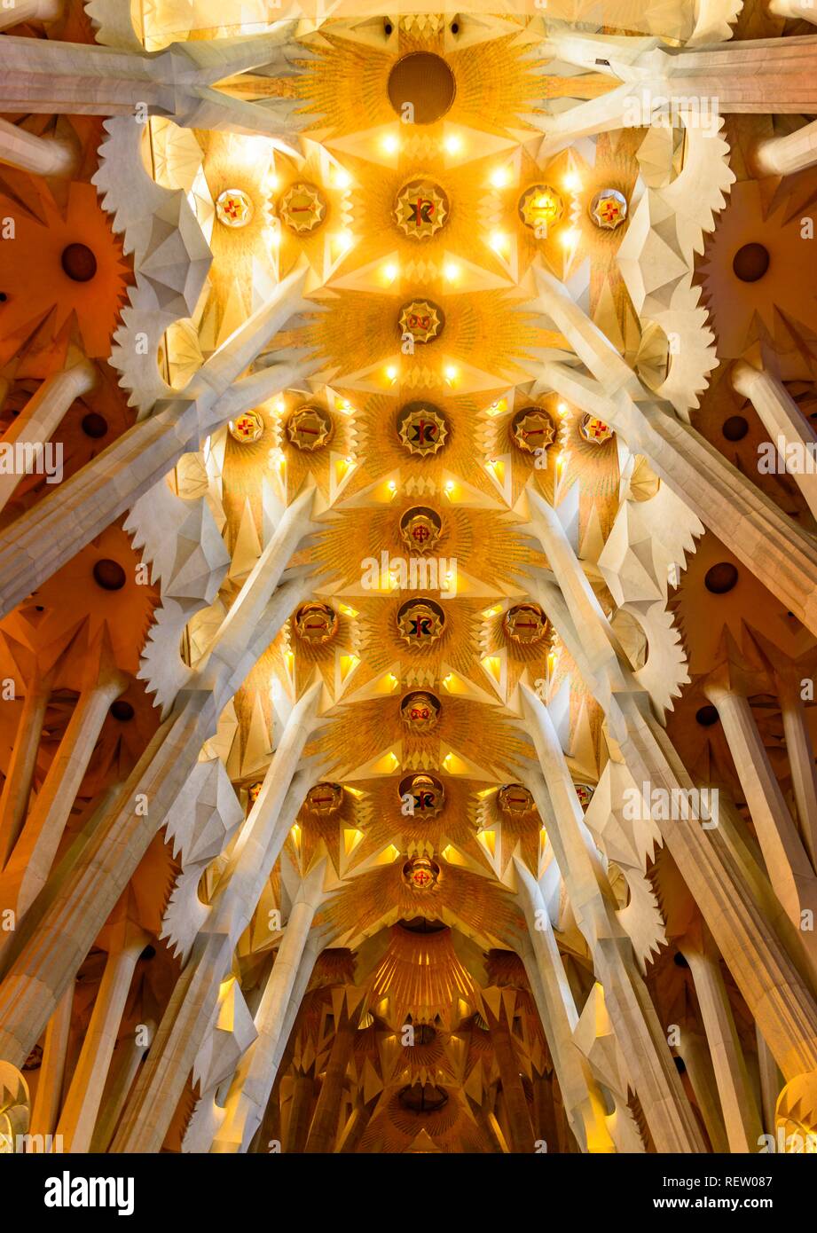 Interior view ceiling vault, Sagrada Familia, Antoni Gaudi, Barcelona ...